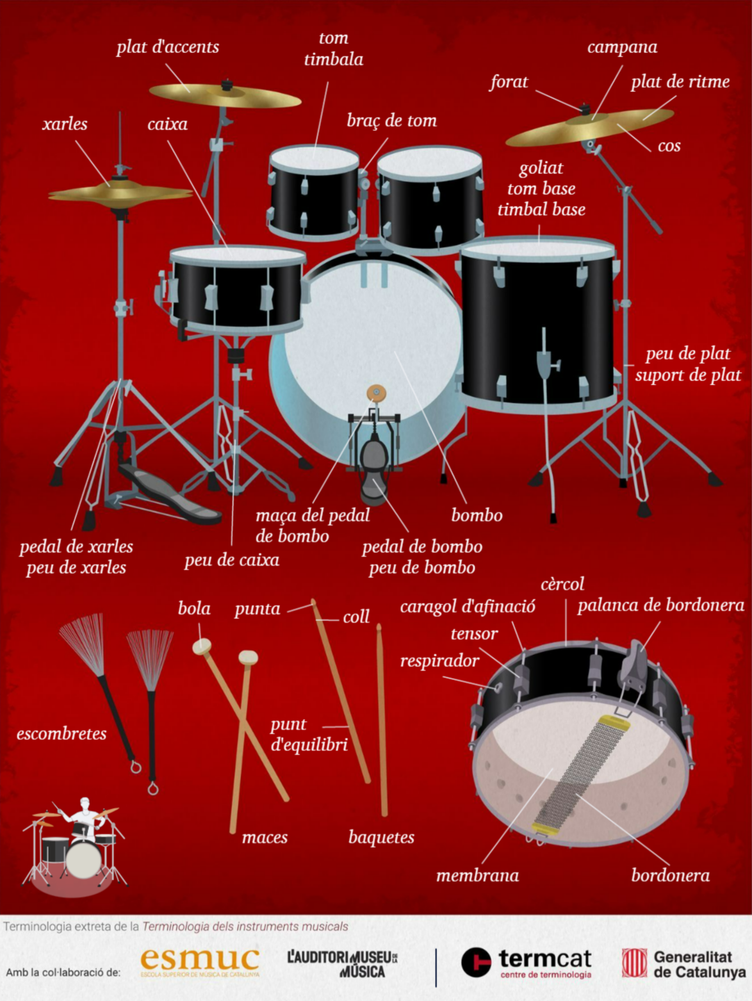 ESMUC- Infografia interactiva de TERMCAT sobre la bateria